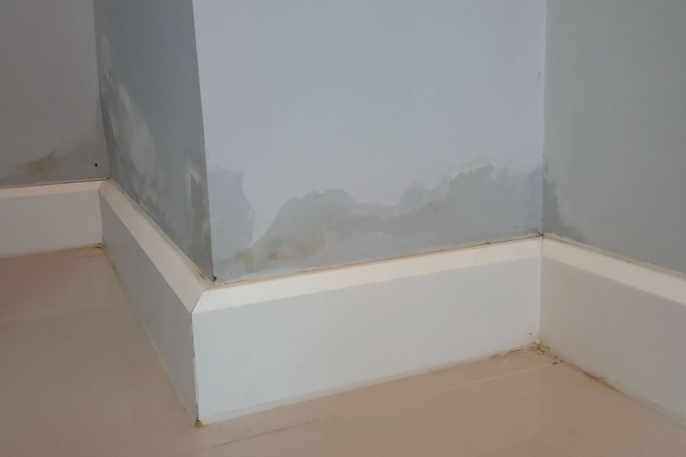 Etanchéité murs intérieurs : recherche fuite eau et infiltration mur